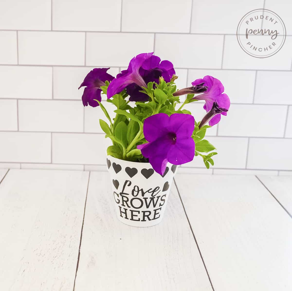 Easy DIY Mother's Day Flower Pot - Prudent Penny Pincher