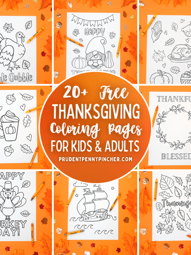 60 Thanksgiving Turkey Crafts for Kids - Prudent Penny Pincher