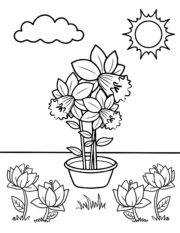 20 Free Spring Coloring Pages for Kids and Adults - Prudent Penny Pincher