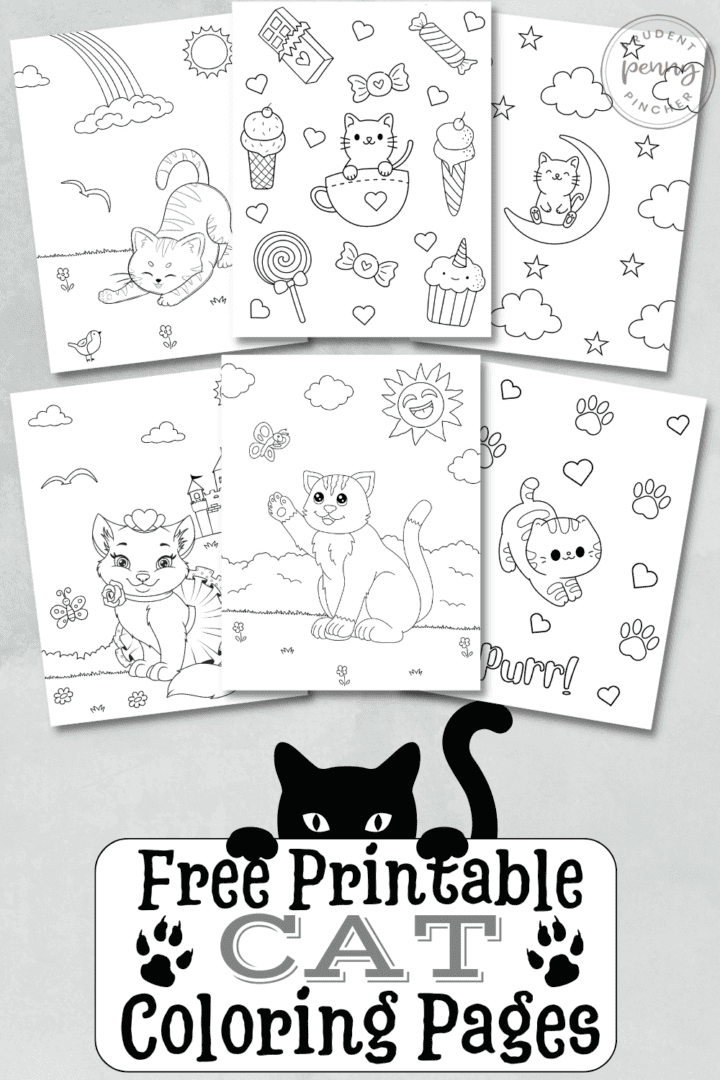 30 Free Printable Cat Coloring Pages – All American Holiday