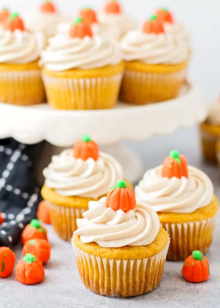 25 Best Fall Cupcakes - Prudent Penny Pincher