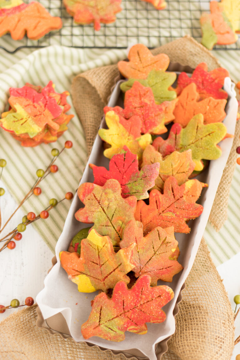 25 Best Fall Cookies for Autumn Baking - Prudent Penny Pincher