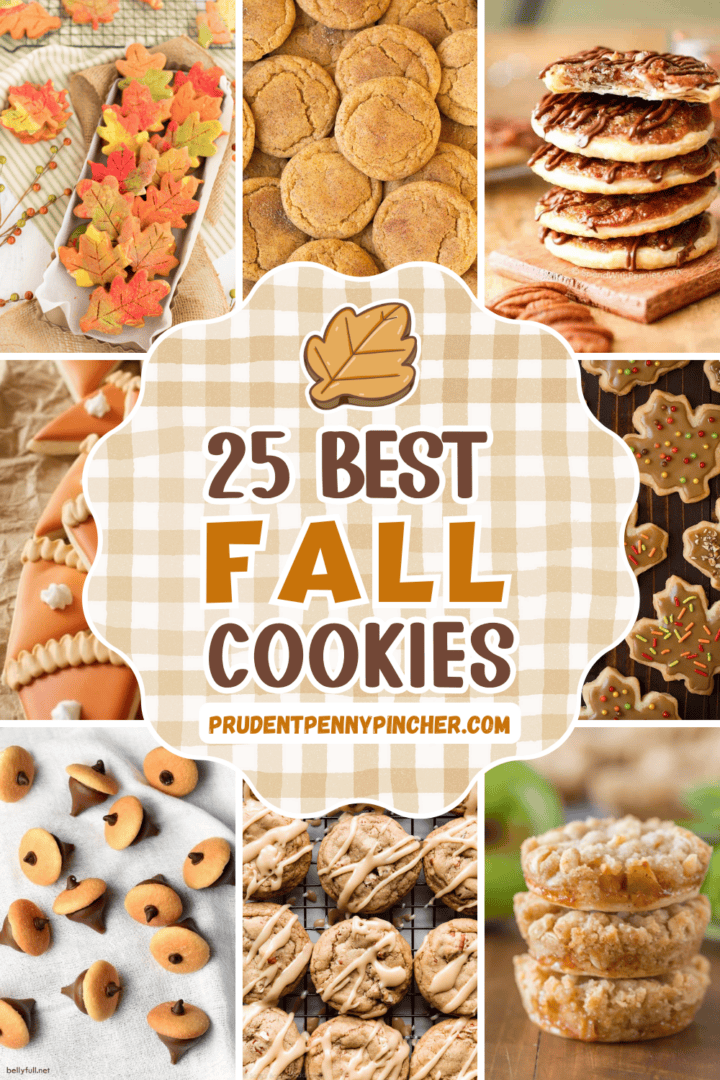 25 Best Fall Cookies for Autumn Baking - Prudent Penny Pincher