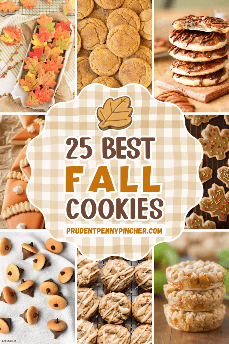25 Best Fall Cookies for Autumn Baking - Prudent Penny Pincher