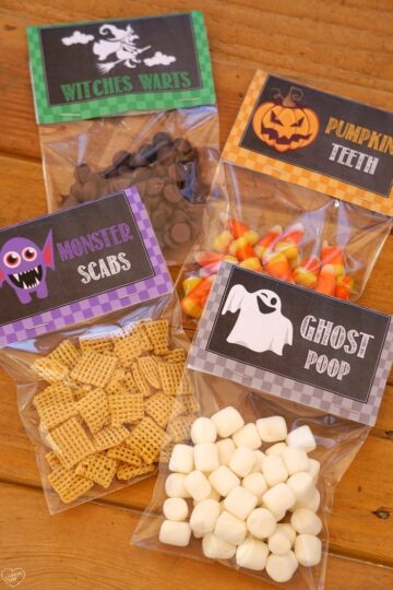 25 DIY Halloween Treat Bag Ideas - Prudent Penny Pincher