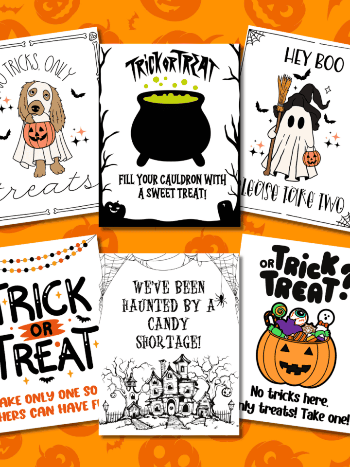 Halloween Crafts, Decor & Recipes - Prudent Penny Pincher