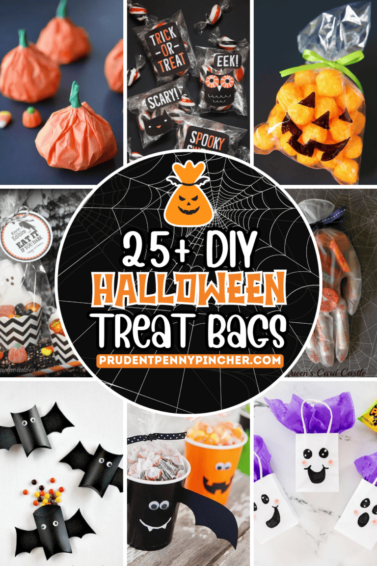 25 DIY Halloween Treat Bag Ideas - Prudent Penny Pincher