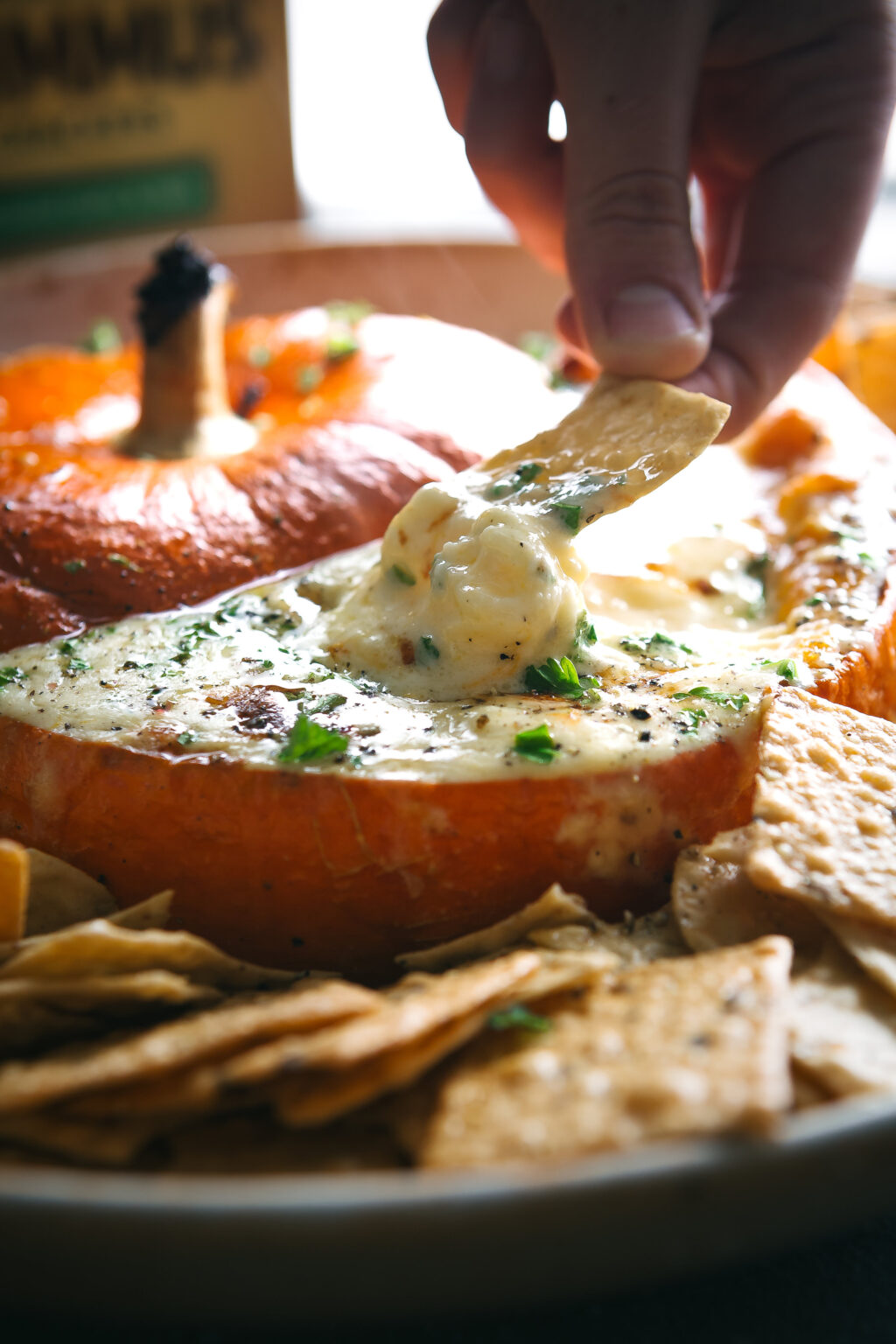 20 Best Thanksgiving Dips - Prudent Penny Pincher