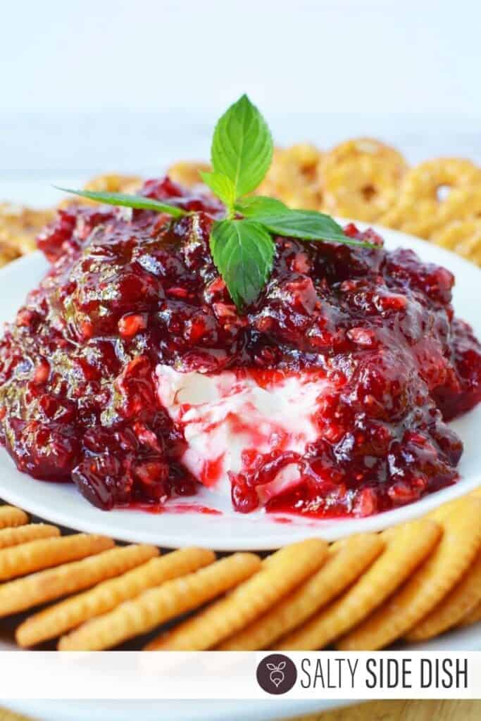20 Best Thanksgiving Dips - Prudent Penny Pincher
