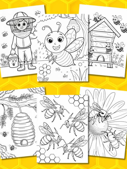 Coloring Pages - Prudent Penny Pincher