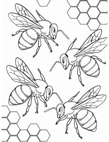 25 Free Printable Bee Coloring Pages for Kids - Prudent Penny Pincher