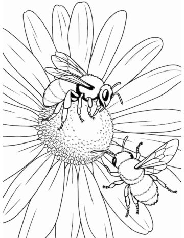 25 Free Printable Bee Coloring Pages for Kids - Prudent Penny Pincher