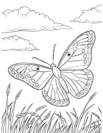 30 Free Printable Butterfly Coloring Pages - Prudent Penny Pincher