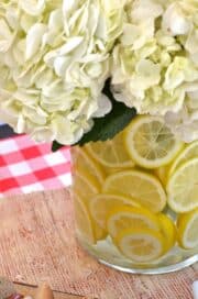 25 Best DIY Lemon Decor Ideas for Summer - Prudent Penny Pincher