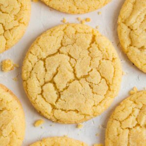 30 Best Summer Cookies - Prudent Penny Pincher