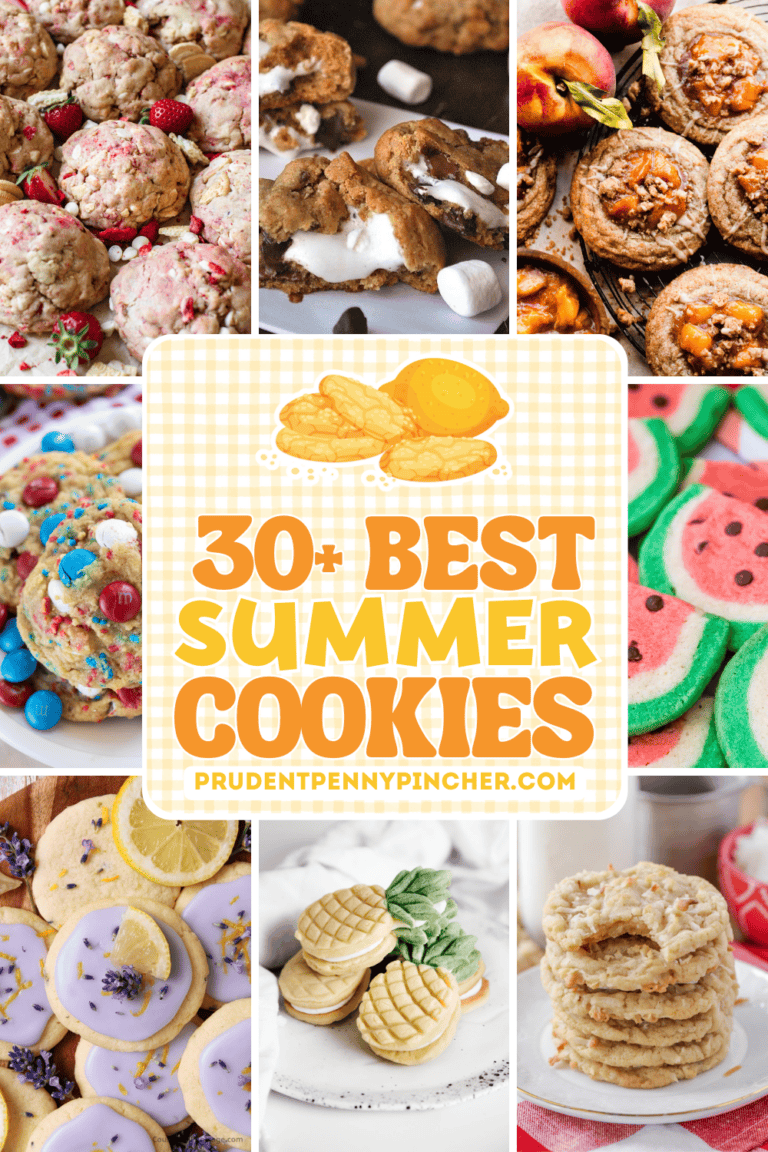 30 Best Summer Cookies - Prudent Penny Pincher