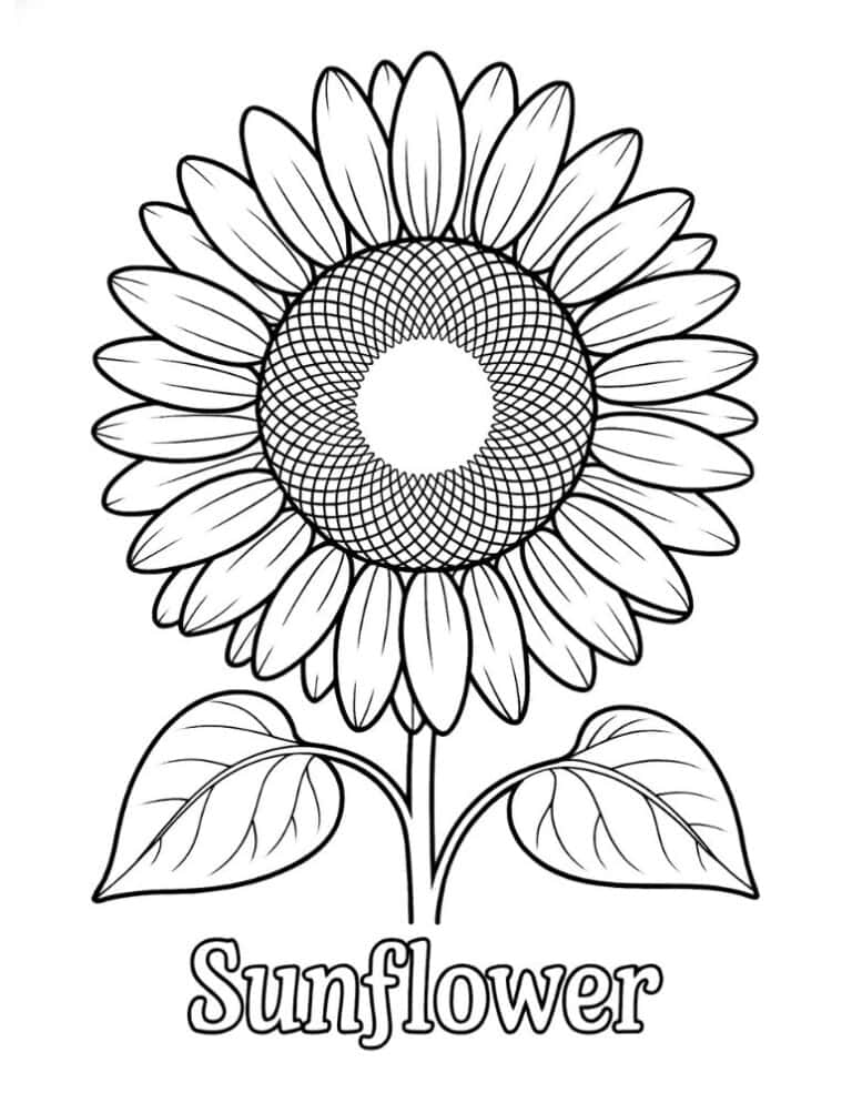 20 Free Printable Sunflower Coloring Pages - Prudent Penny Pincher