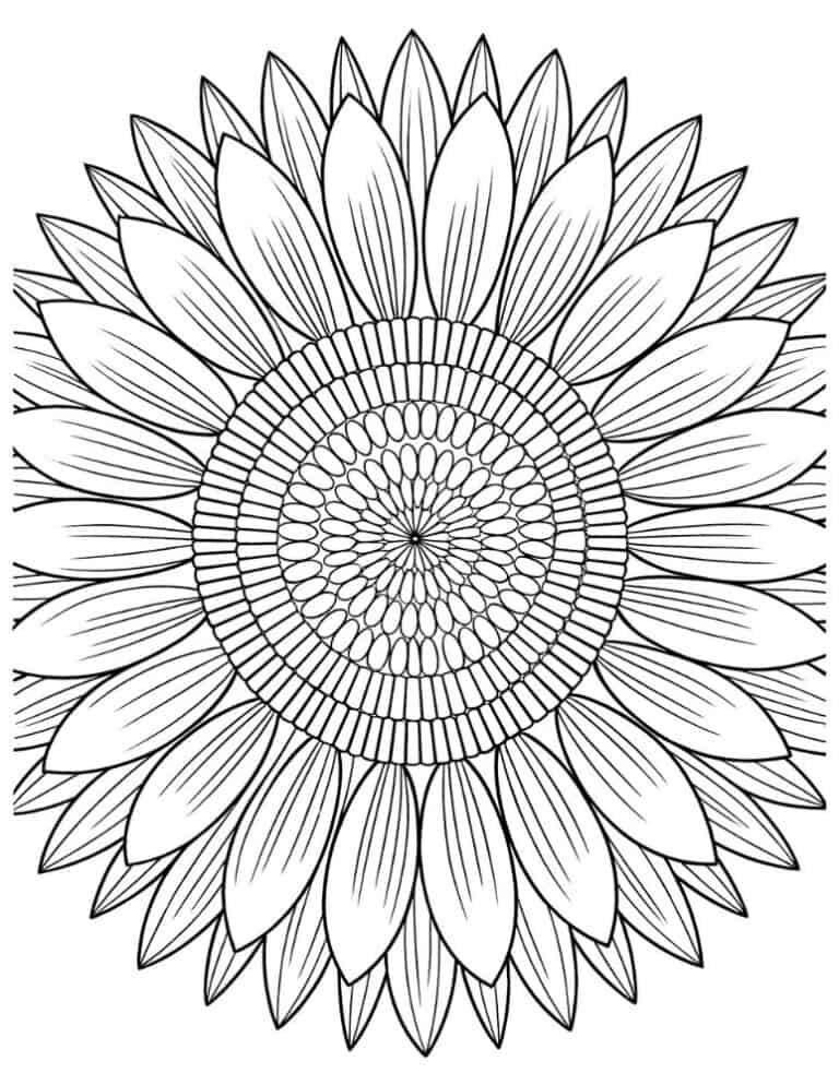 20 Free Printable Sunflower Coloring Pages - Prudent Penny Pincher