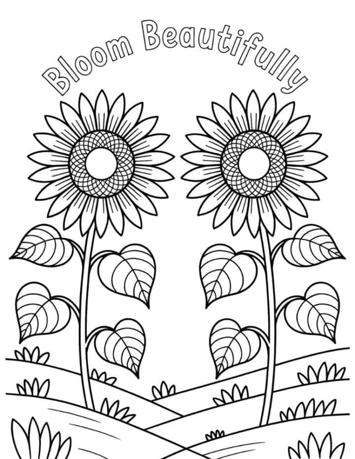 20 Free Printable Sunflower Coloring Pages - Prudent Penny Pincher