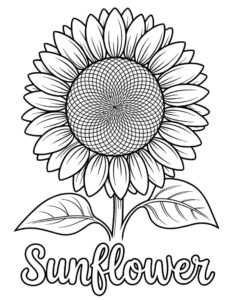 20 Free Printable Sunflower Coloring Pages - Prudent Penny Pincher