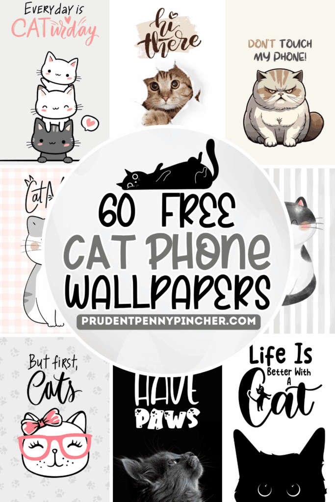 60 Free Cat Wallpapers for the Phone - Prudent Penny Pincher