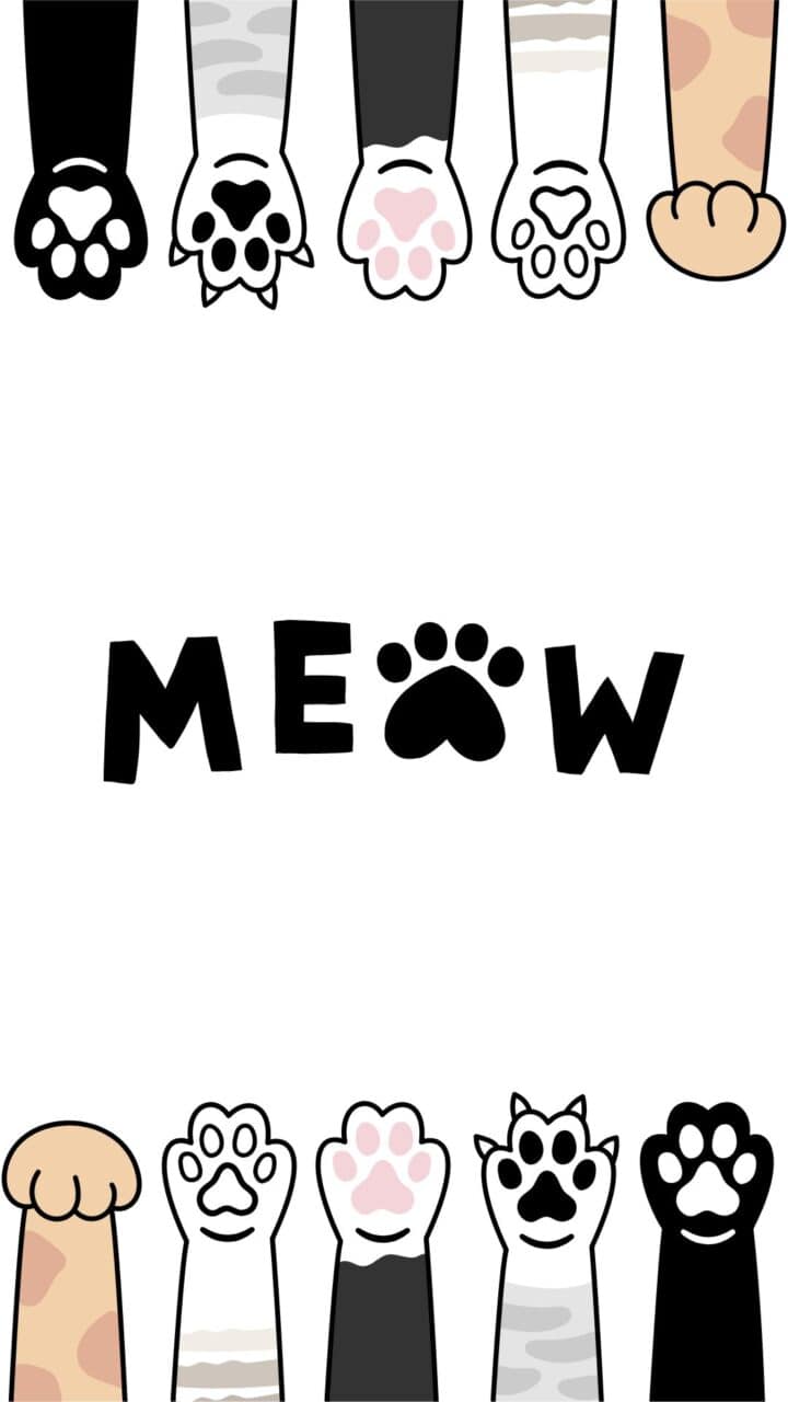 60 Free Cat Wallpapers for the Phone - Prudent Penny Pincher