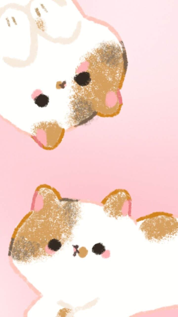 60 Free Cat Wallpapers for the Phone - Prudent Penny Pincher