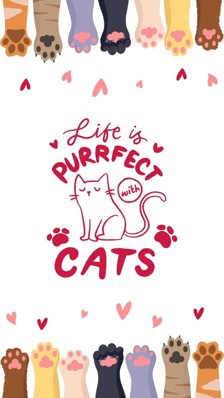 60 Free Cat Wallpapers for the Phone - Prudent Penny Pincher