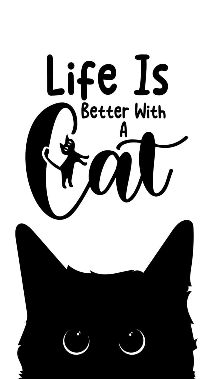 60 Free Cat Wallpapers for the Phone - Prudent Penny Pincher