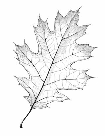 20 Free Printable Fall Leaf Templates for Kids - Prudent Penny Pincher