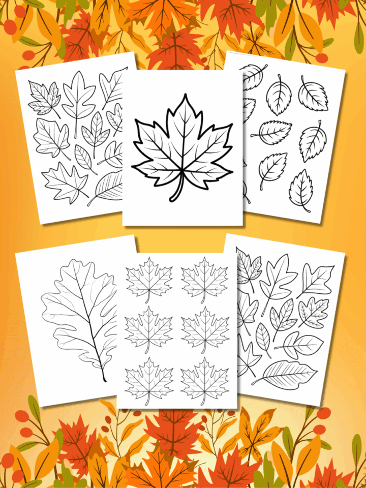 20 Fall Tiered Tray Decor Ideas - Prudent Penny Pincher