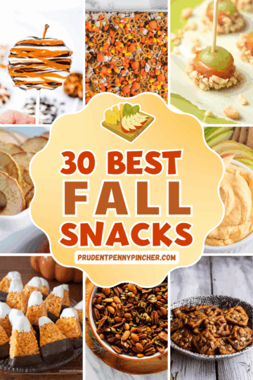 30 Best Fall Snack Ideas for a Party - Prudent Penny Pincher