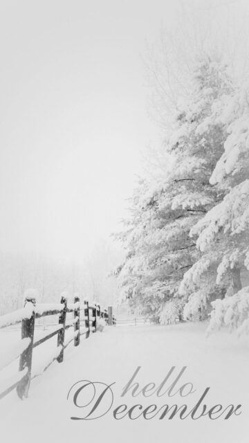 Free December Wallpapers for the Phone - Prudent Penny Pincher