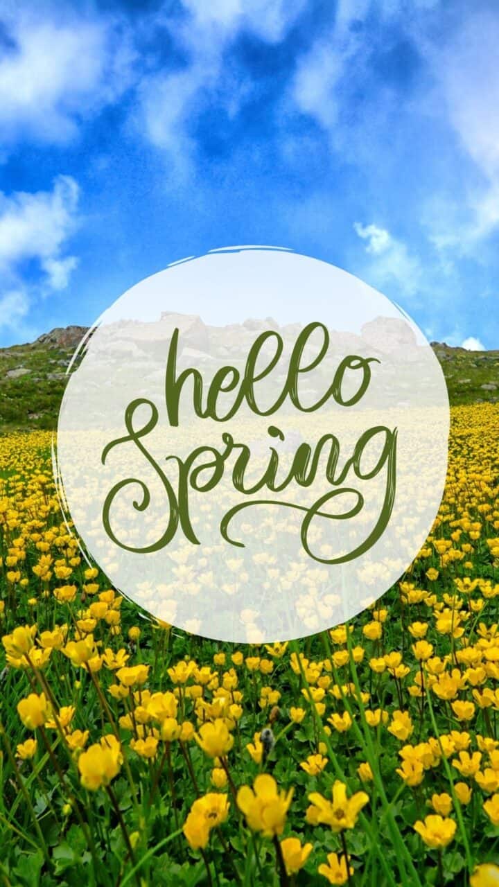 60 Free Spring Wallpapers for the Phone - Prudent Penny Pincher