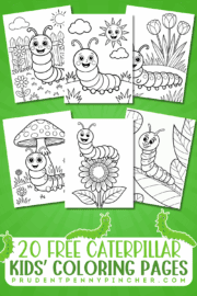 Free Printable Caterpillar Coloring Pages for Kids - Prudent Penny Pincher