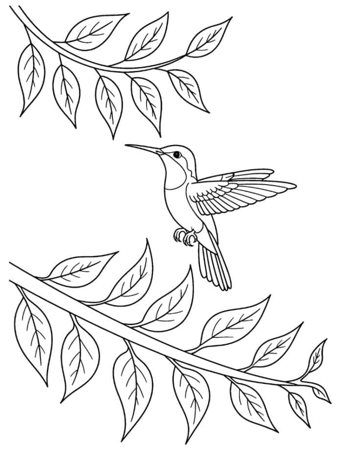 40 Free Printable Bird Coloring Pages for Kids - Prudent Penny Pincher
