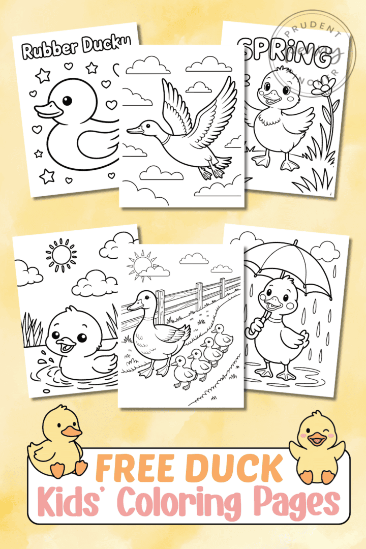 25 Easy Duck Coloring Pages for Kids - Prudent Penny Pincher