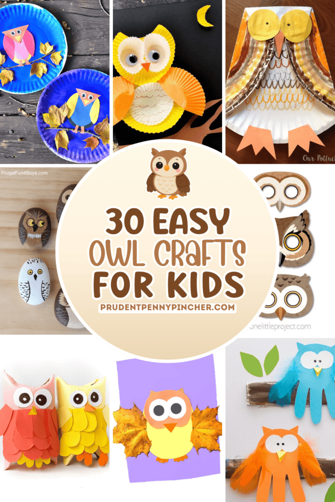 30 Easy Owl Crafts for Kids - Prudent Penny Pincher