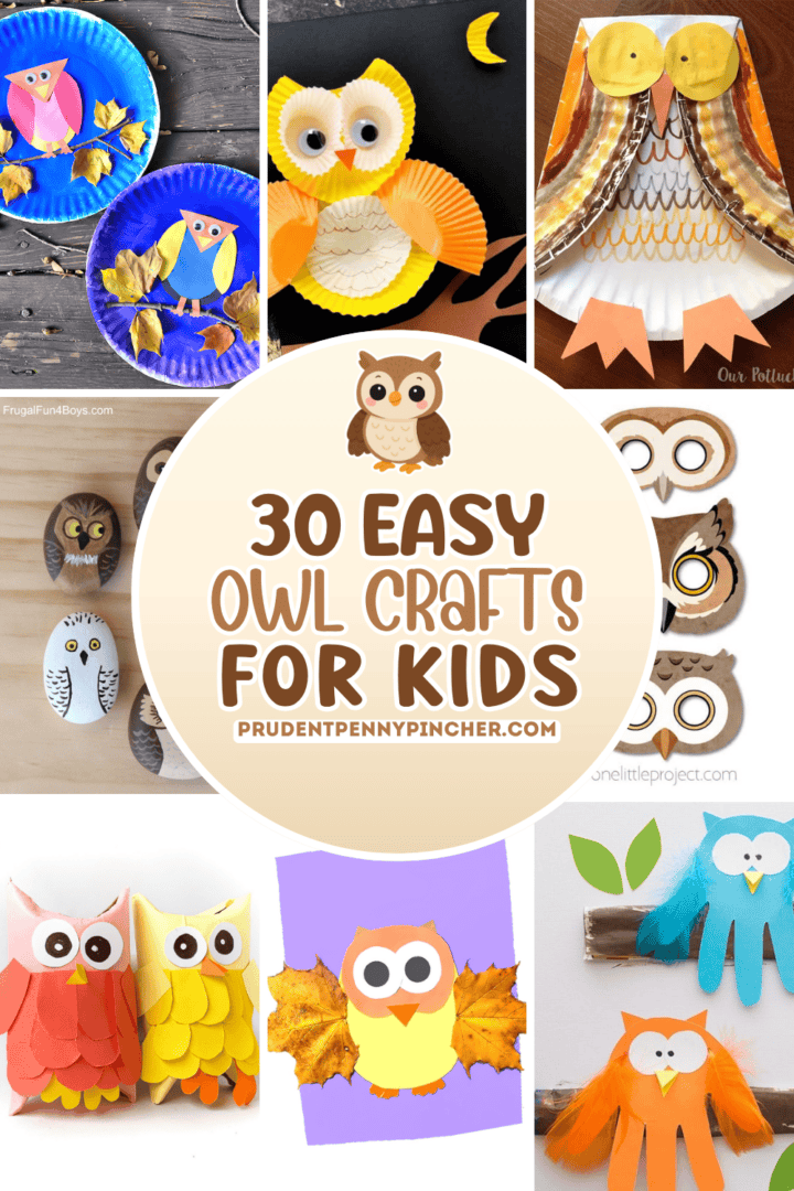 30 Easy Owl Crafts for Kids - Prudent Penny Pincher